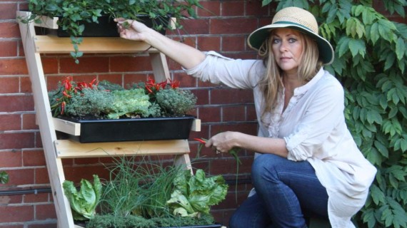 Top 10 Ladder DIY Projects - Ecobnb