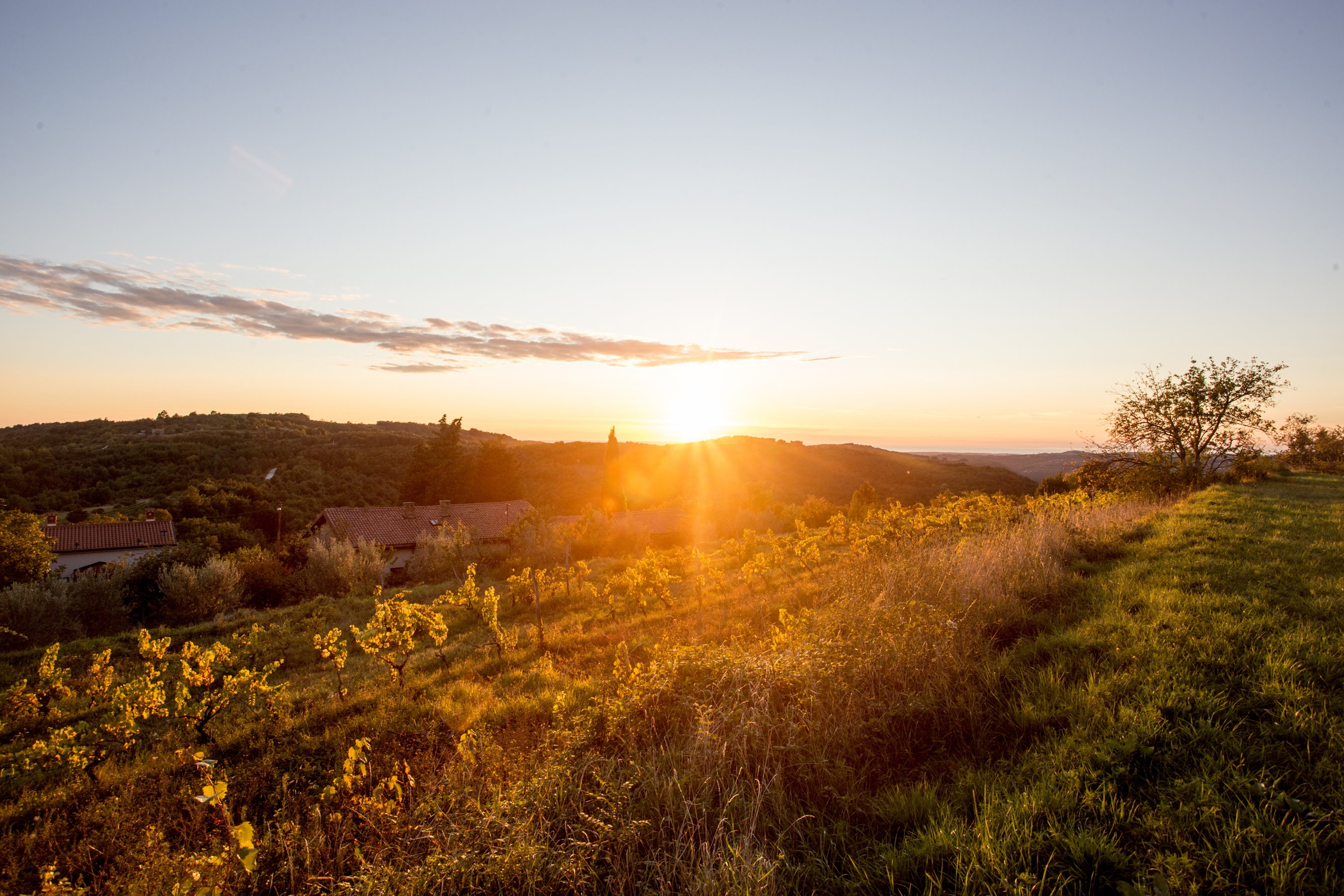 Green Gradin: The Undiscovered Hinterland of Slovenian Istria - Ecobnb
