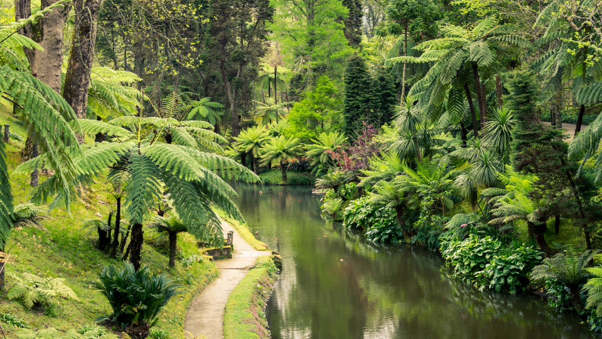 Swimming in the 10 Top Natural pools on the Azores - Ecobnb