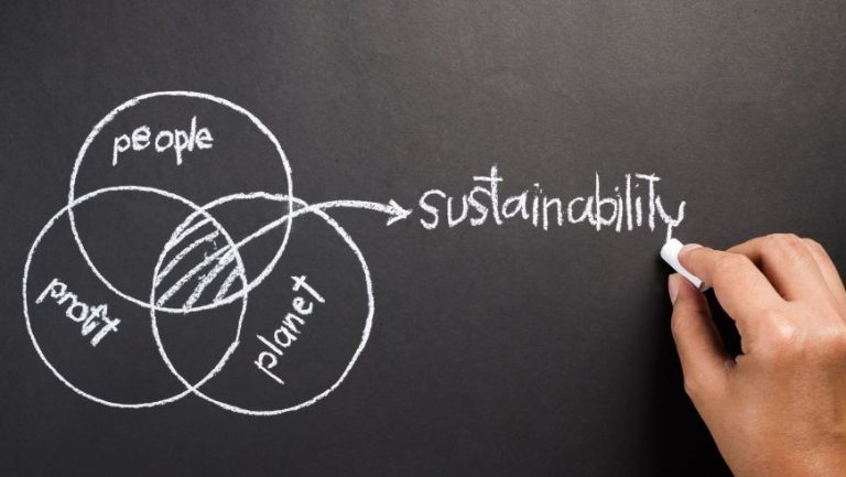 Why Focus on Sustainability to Innovate Your Business - Ecobnb