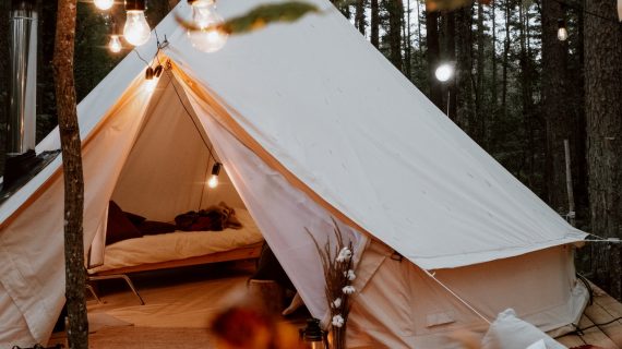 Pros And Cons Of Ecotourism: What You Should Know - Ecobnb