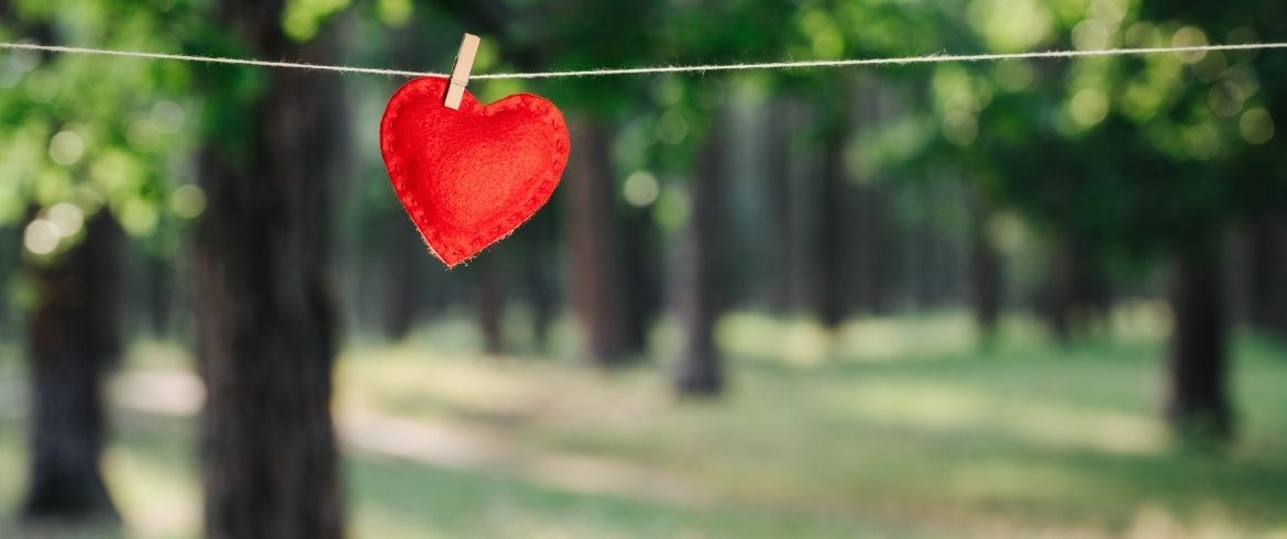 10 ideas for an eco-friendly Valentine's Day - Ecobnb