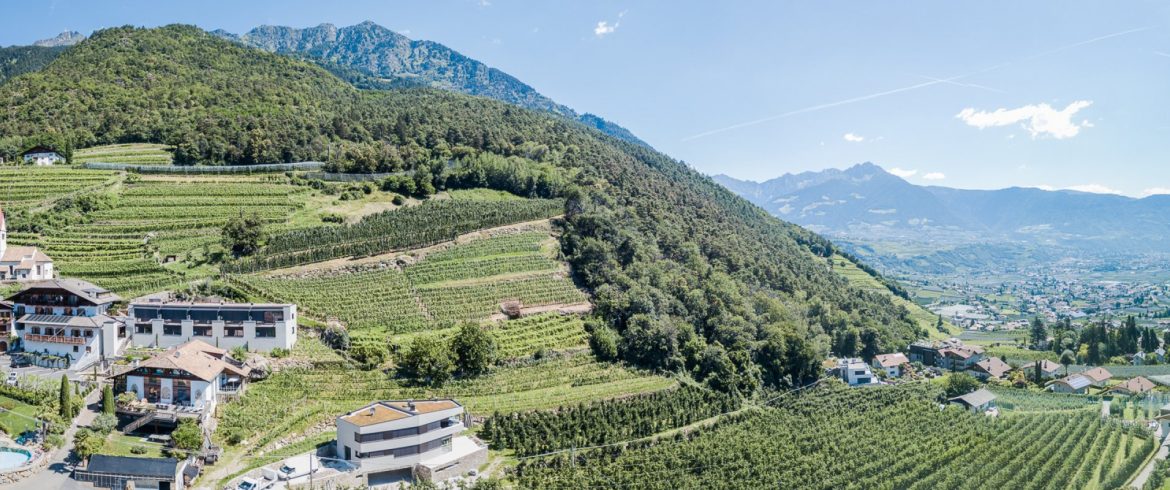 Paloria in Lagundo: True Natural Wellness Holiday near Merano - Ecobnb