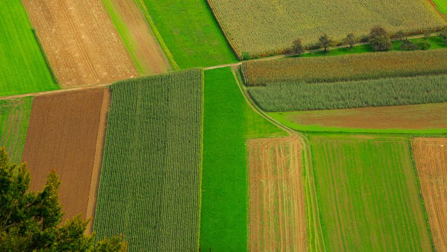 Ecological Problems on Earth — Solutions in Space - Ecobnb