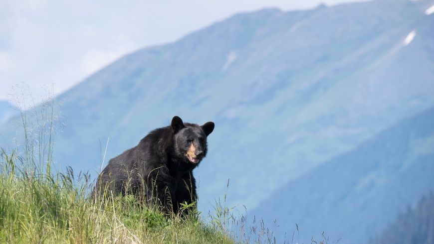 How To Be A More Sustainable Traveler in 10 Easy Steps - Ecobnb