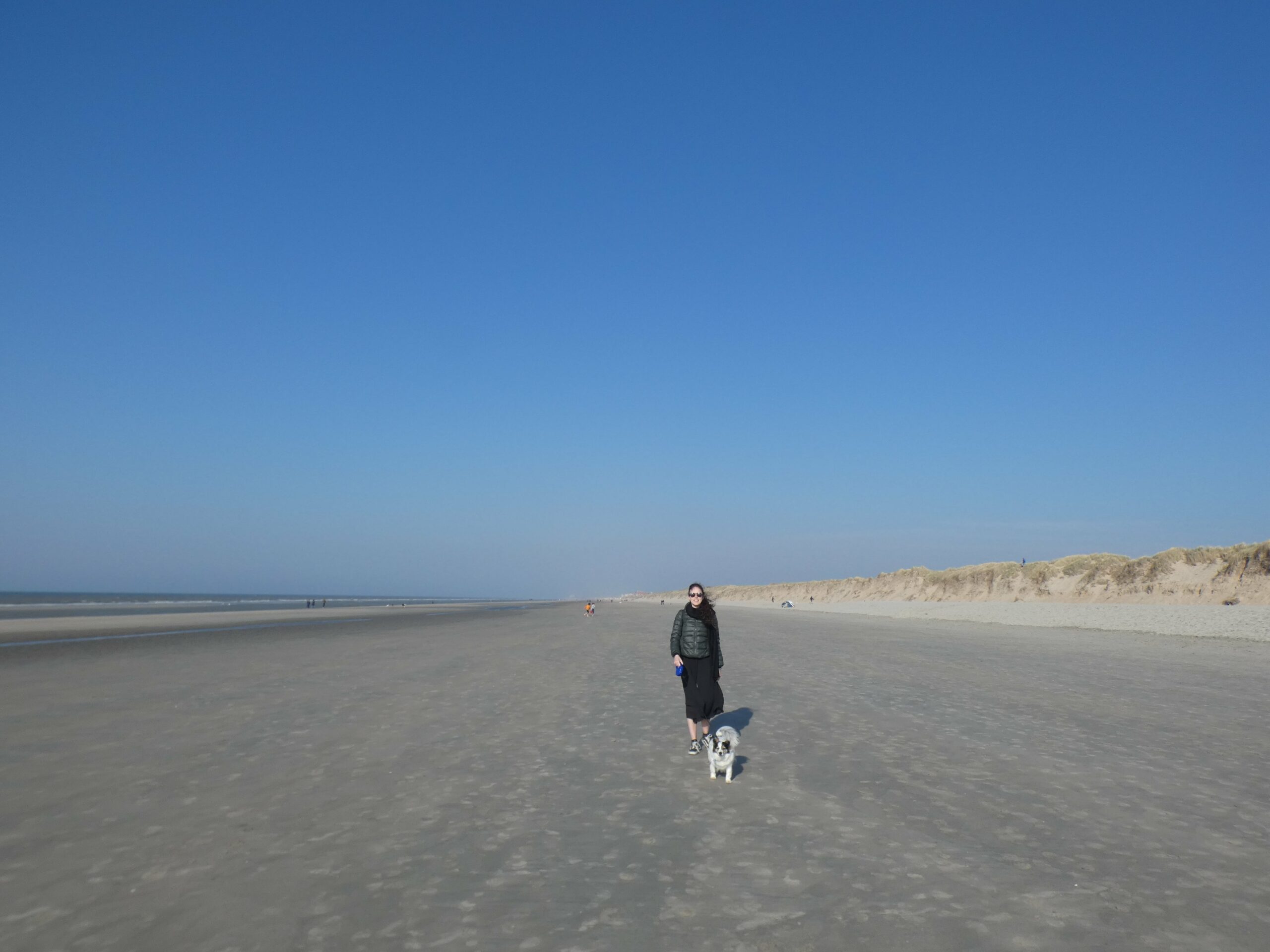 Into the magical vibes of De Haan - the Belgian Coast - Ecobnb