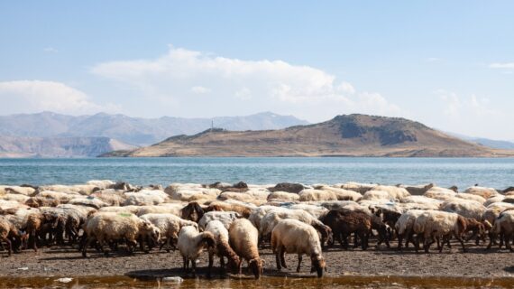 Turkey's national parks and protected areas - Ecobnb